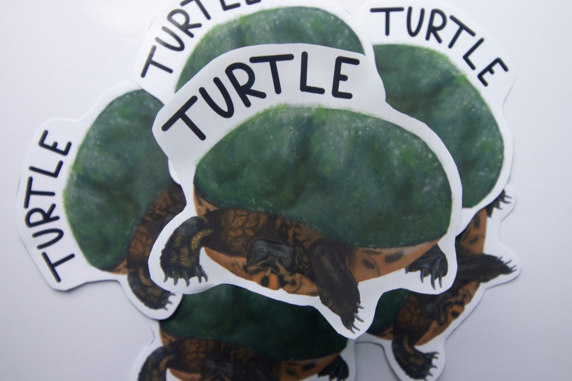 Turtle, Animal Sticker, Turtle Sticker, Vinyl Sticker, Laptop Sticker ...