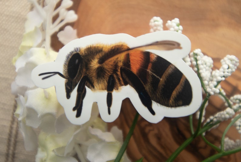 Bee Sticker for Laptop, Bee Bug Sticker, Bee Vinyl Sticker, Bee Drawing ...