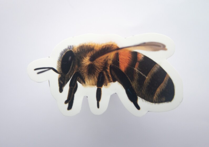 Bee Sticker for Laptop, Bee Bug Sticker, Bee Vinyl Sticker, Bee Drawing ...