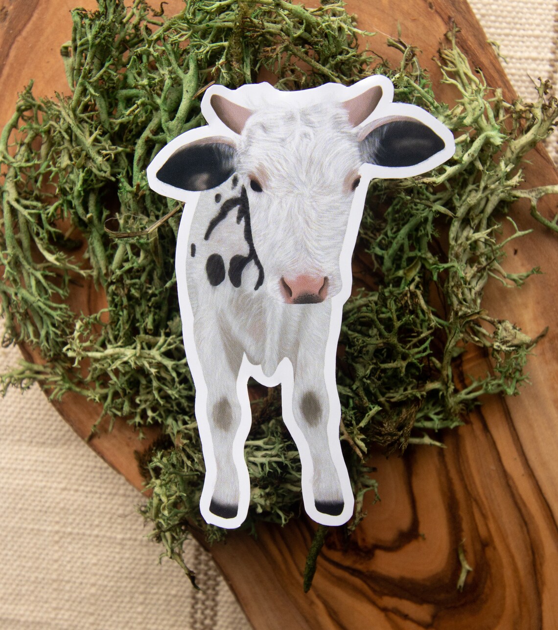 Cow Sticker, Cute Cow Sticker for Laptop, Cow Sticker for Planner ...