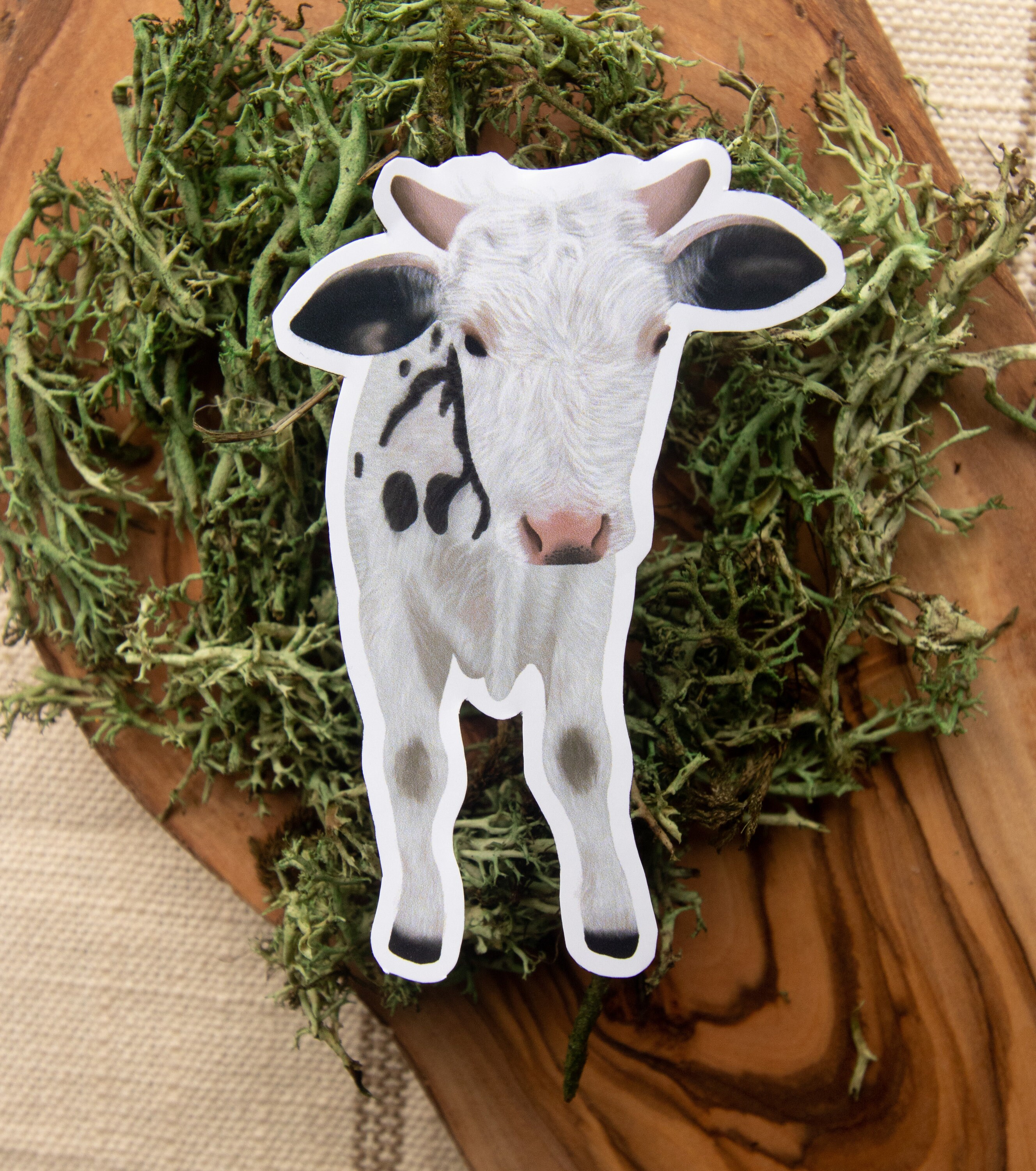 Cow Sticker, Cute Cow Sticker for Laptop, Cow Sticker for Planner ...