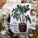 Plant Pun Sticker, Cute Plant Sticker, Positive Pun Sticker - Etsy