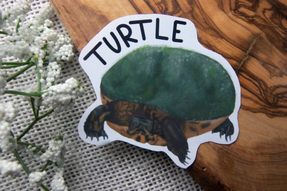 Turtle Animal Sticker Turtle Sticker Vinyl Sticker Laptop | Etsy