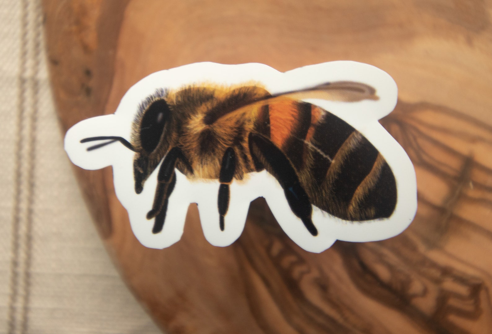 Bee Sticker for Laptop, Bee Bug Sticker, Bee Vinyl Sticker, Bee Drawing ...
