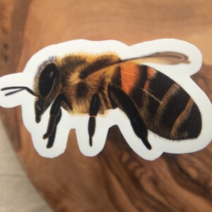 Bee Sticker for Laptop, Bee Bug Sticker, Bee Vinyl Sticker, Bee Drawing ...