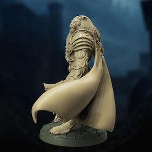 Leonin Paladin | Miniature for Fantasy Rpg Tabletop Games, 28-32 Mm ...