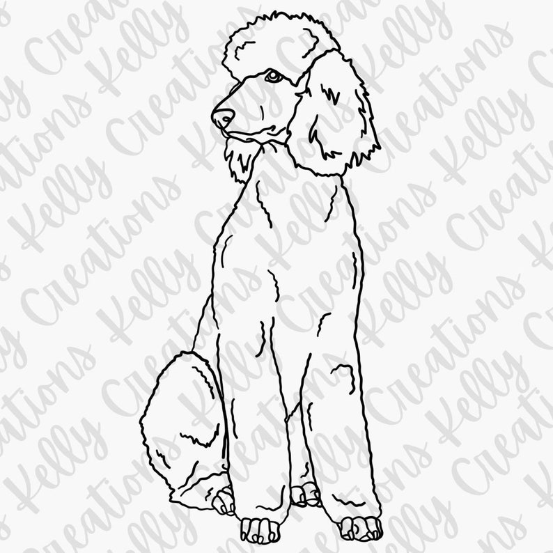 Poodle Outline PNG Collection - Etsy