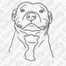 Pitbull Outline PNG Collection Set 2, Pitbull File for Shirts, Pitbull ...