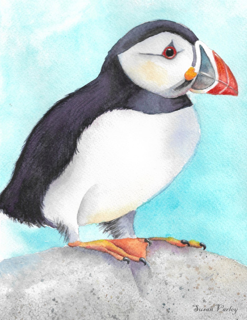 Puffin Sea Bird Print, Digital Download 4JPEG FILES Included - Etsy