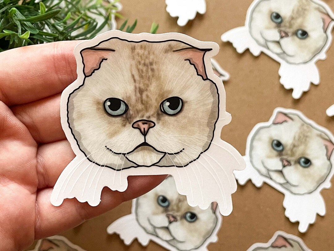 Taylor Swift Cat Sticker | Olivia Benson Illustration | Olivia Benson ...