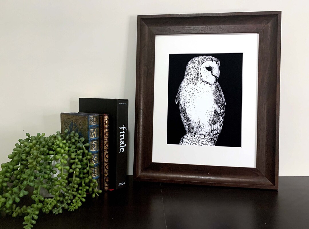 Barn Owl - Pen and Ink Illustration Art Print - Owl Drawing With Mat ...