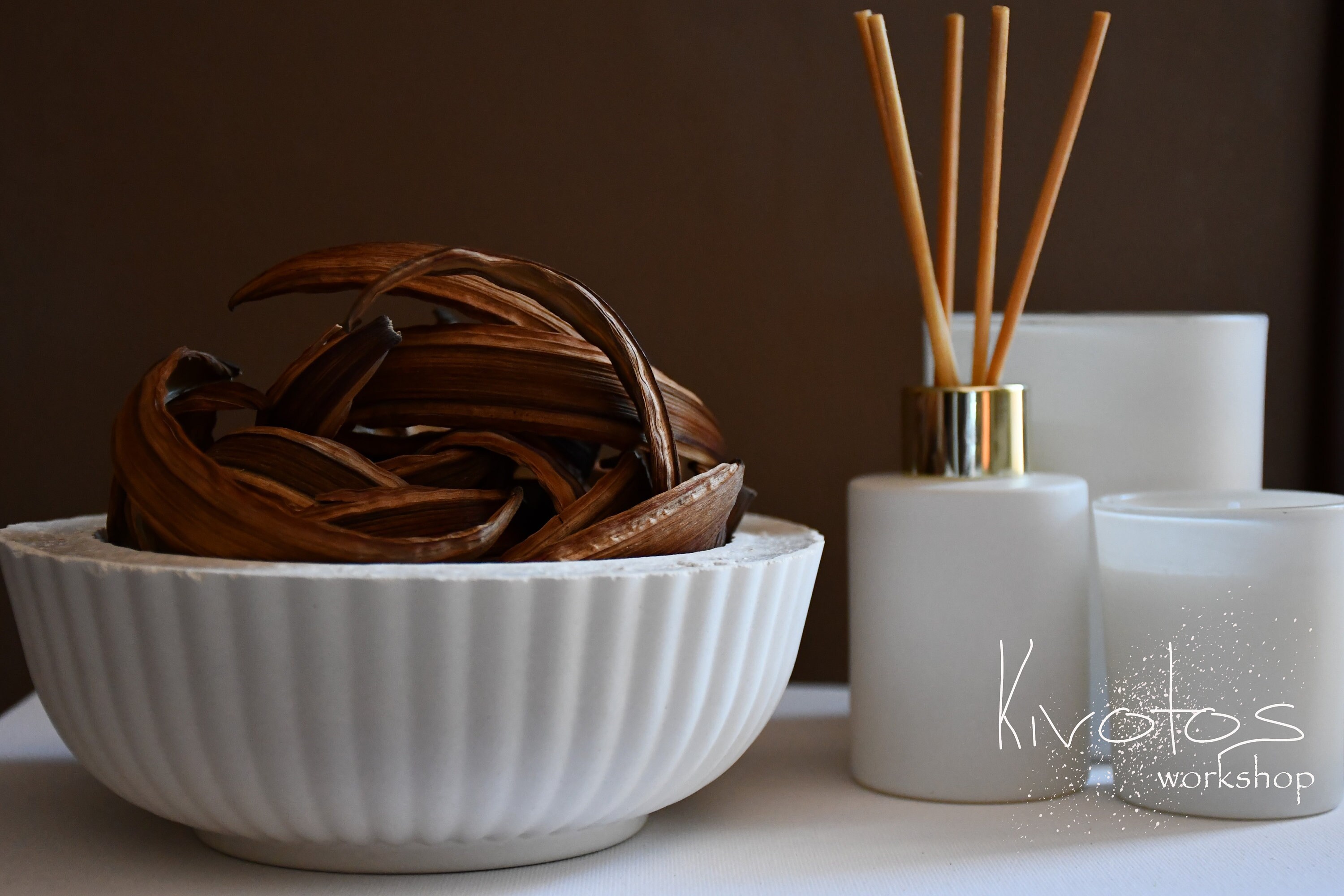 Naturally Dried Nerium Oleander Seed Pods | Dried Flowers | Home Decor ...