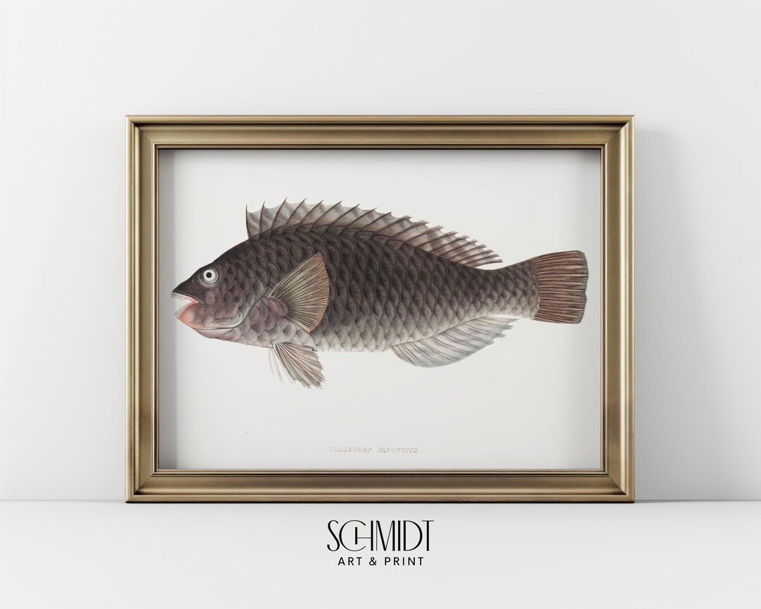 Vintage Fish Wall Art Vintage Fish Oil Painting Wall Art Printable Wall ...
