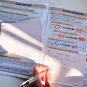Pink Aesthetic Revision Index Cards | Study Flashcards Set | A6 ...