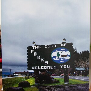 City of Forks | Twilight Art Print - Etsy