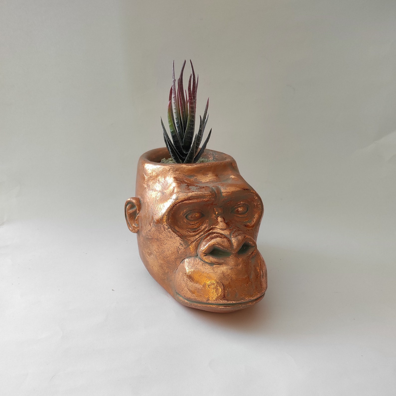 Concrete Pot "gorilla", Gold Planter, Succulent Planter, Concrete ...