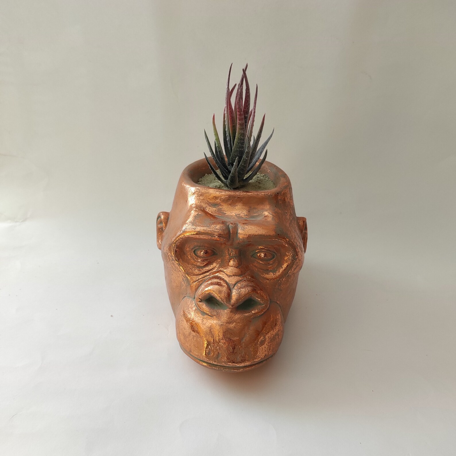 Concrete Pot "gorilla", Gold Planter, Succulent Planter, Concrete ...
