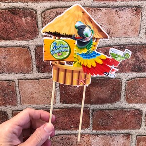 Parrot / Cake Topper / Margarita / Pirate / 50 / Great for Your Dessert ...