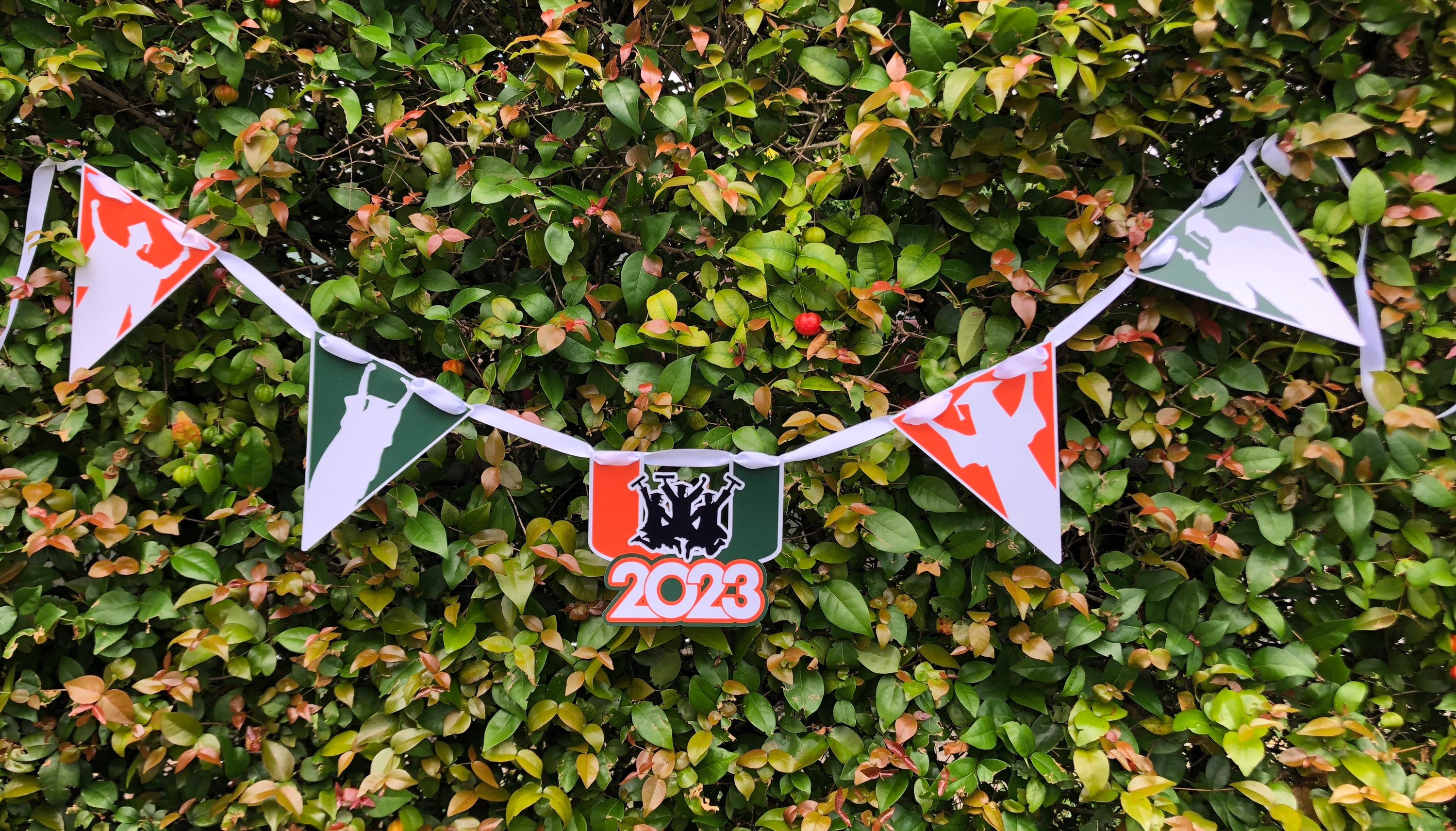 University Bunting Garland and Cake Topper Bundle | Graduation Party ...