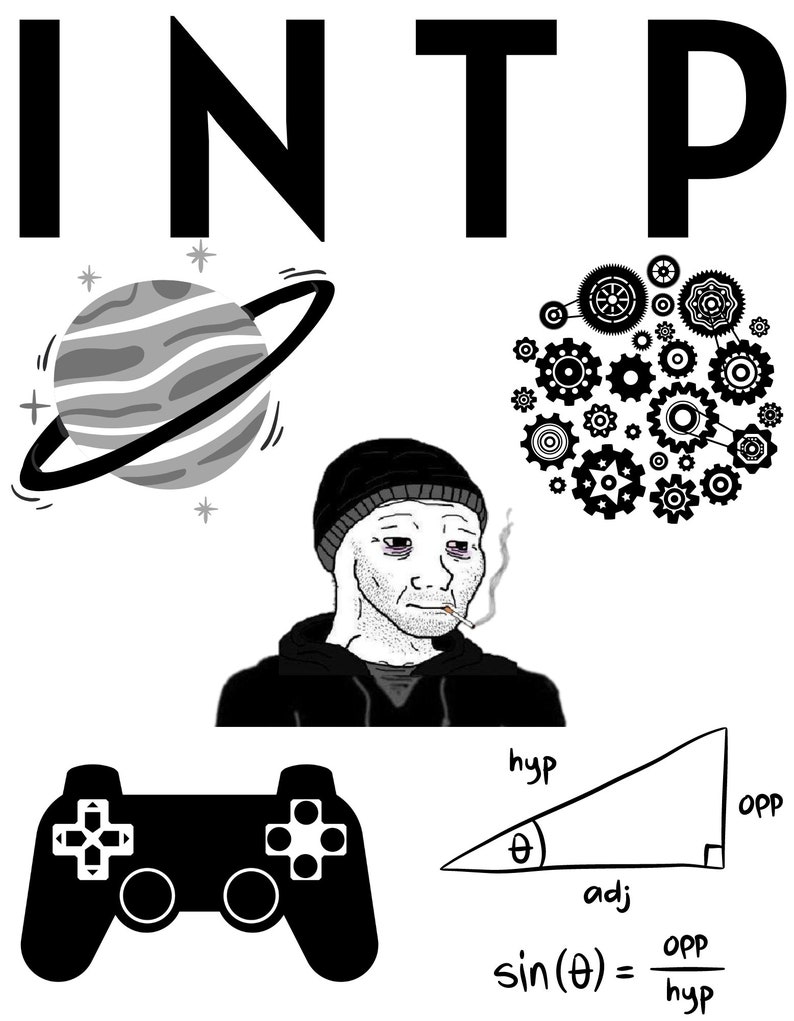 INTP T-shirt | 16 Personality Types | MBTI | INTP | Unisex - Etsy