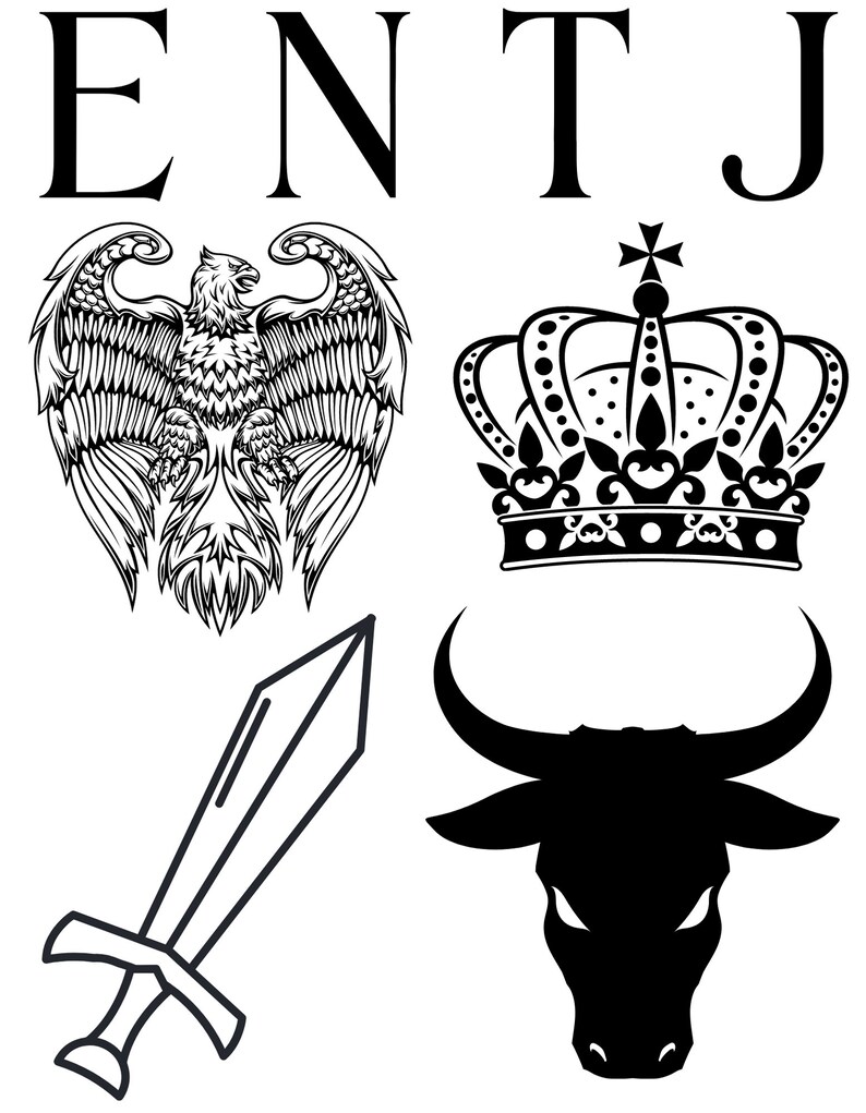 ENTJ T-shirt 16 Personality Types MBTI ENTJ Unisex - Etsy