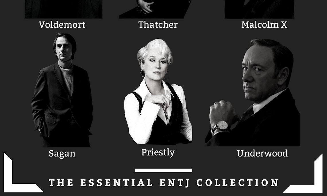 The Essential Commander ENTJ Collection MBTI Wall Art ENTJ Poster - Etsy