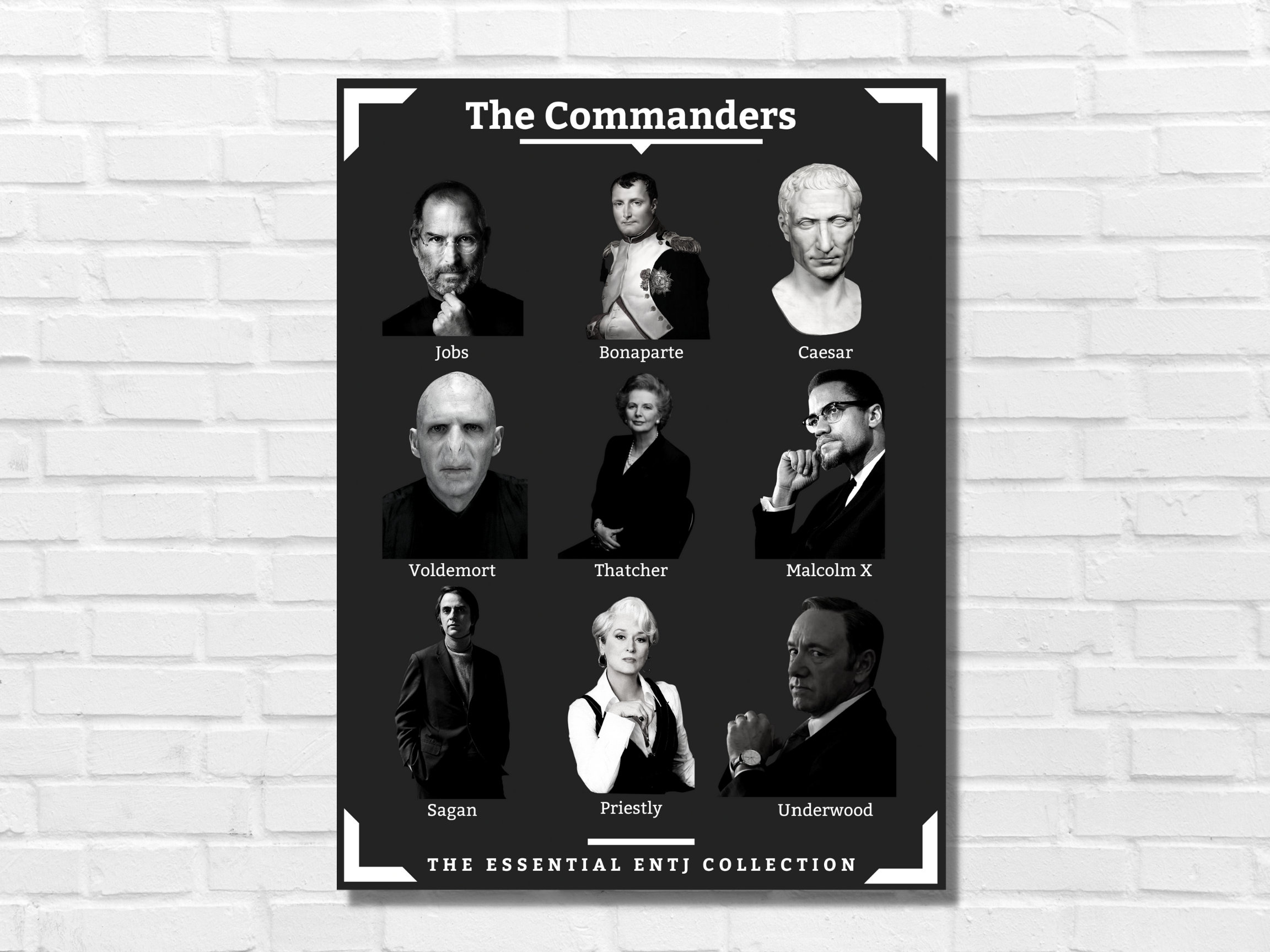The Essential Commander ENTJ Collection MBTI Wall Art ENTJ Poster - Etsy UK