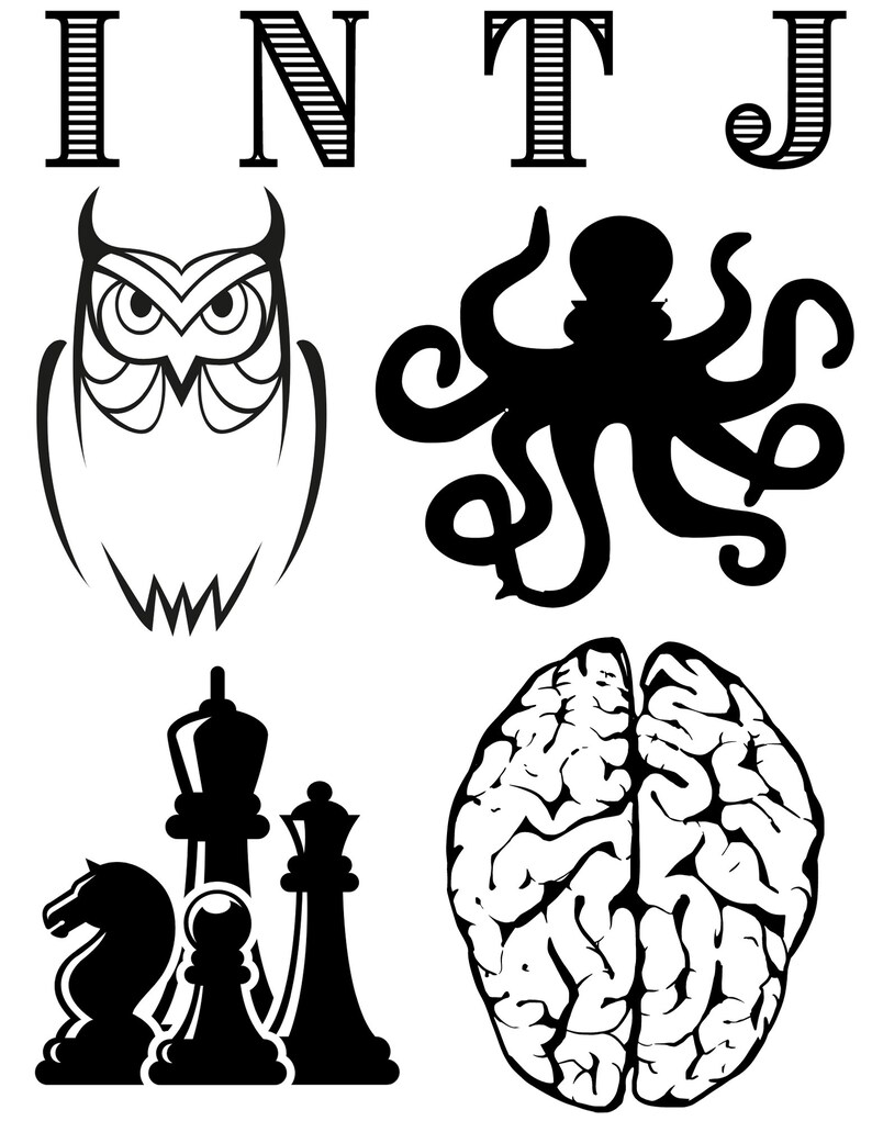 INTJ T-shirt 16 Personality Types MBTI INTJ Unisex - Etsy