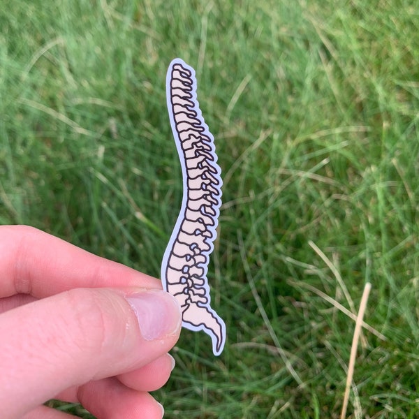Spine Sticker - Etsy