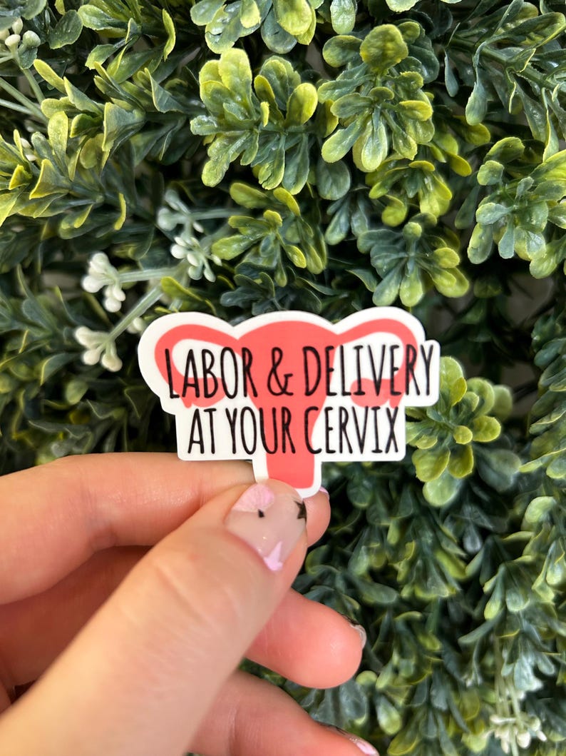 Labor and Delivery at Your Cervix Healthcare/nursing/labor and Delivery ...