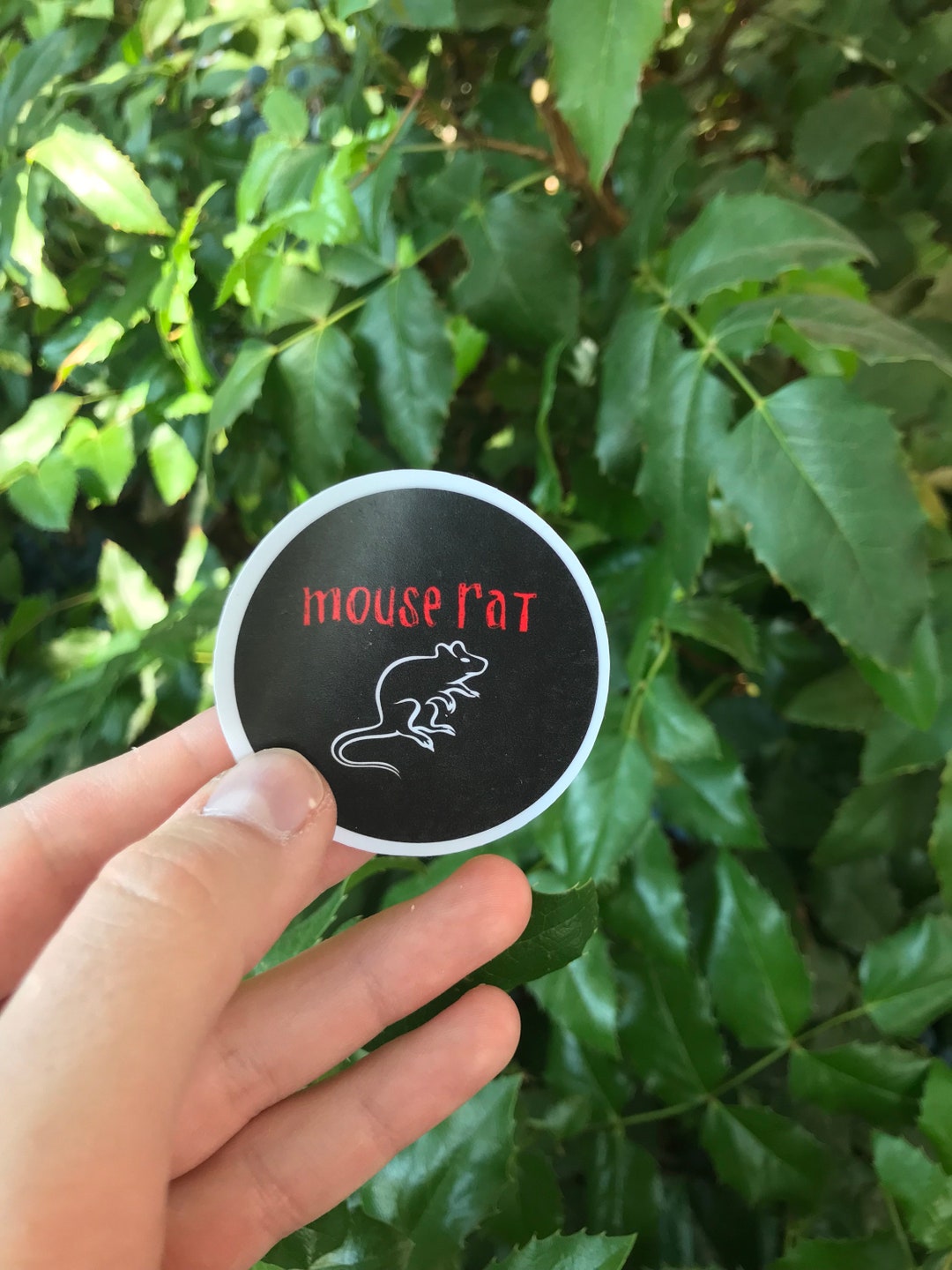 Mouse Rat Parks and Rec Sticker - Etsy