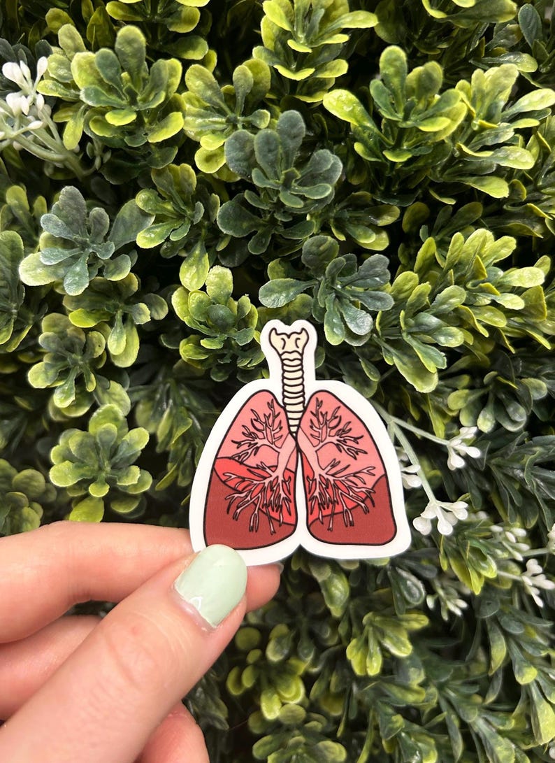 Anatomical Lung Healthcare/nursing Sticker - Etsy