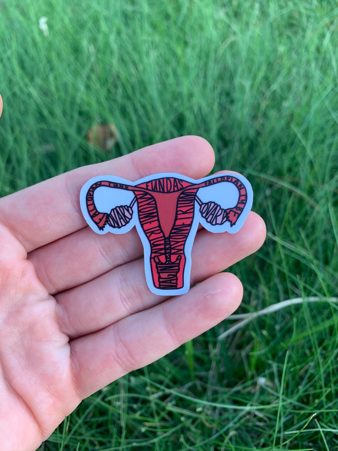 Anatomically Labeled Uterus Healthcare/nursing Sticker - Etsy