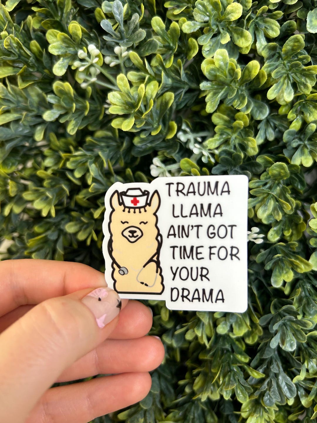 Trauma Llama Healthcare/nursing Sticker - Etsy