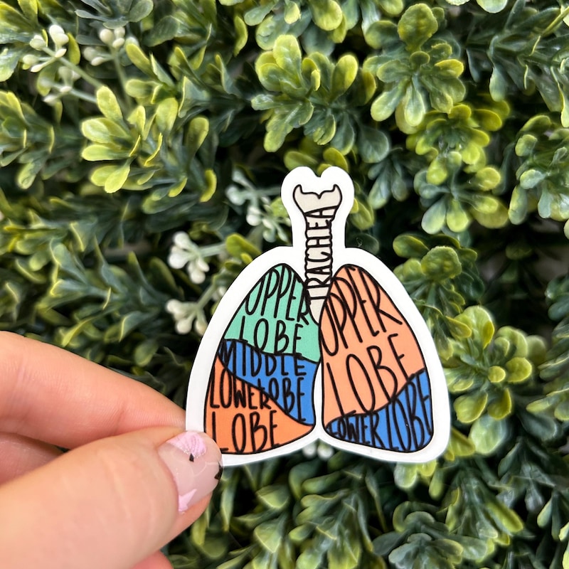 Lung Sticker Laptop - Etsy UK