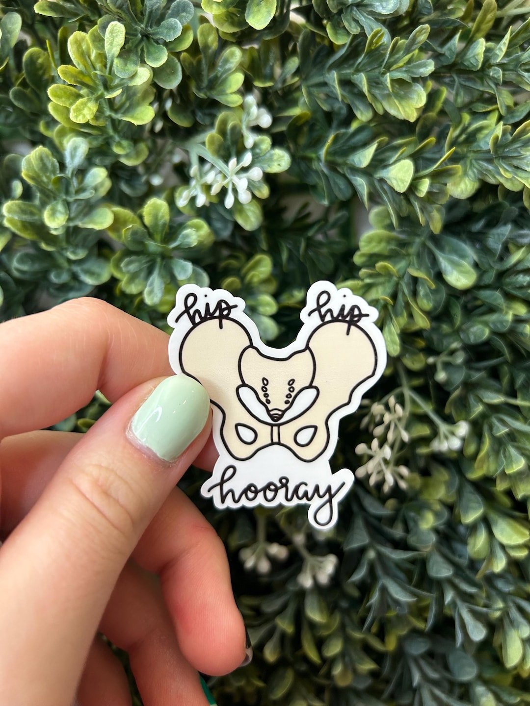 Hip Hip Hooray Sticker - Etsy