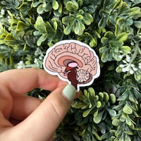 Fun Brain Sticker Pack - Etsy