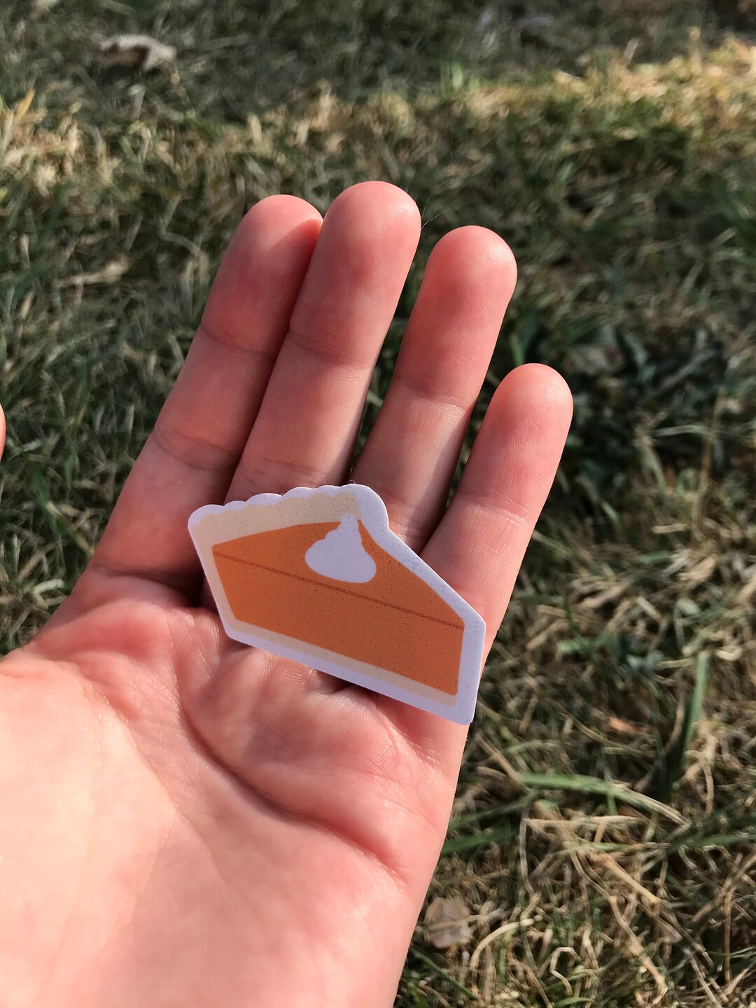 Pumpkin Pie Sticker - Etsy