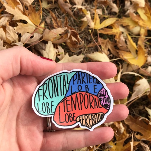 Rainbow Brain Sticker - Etsy