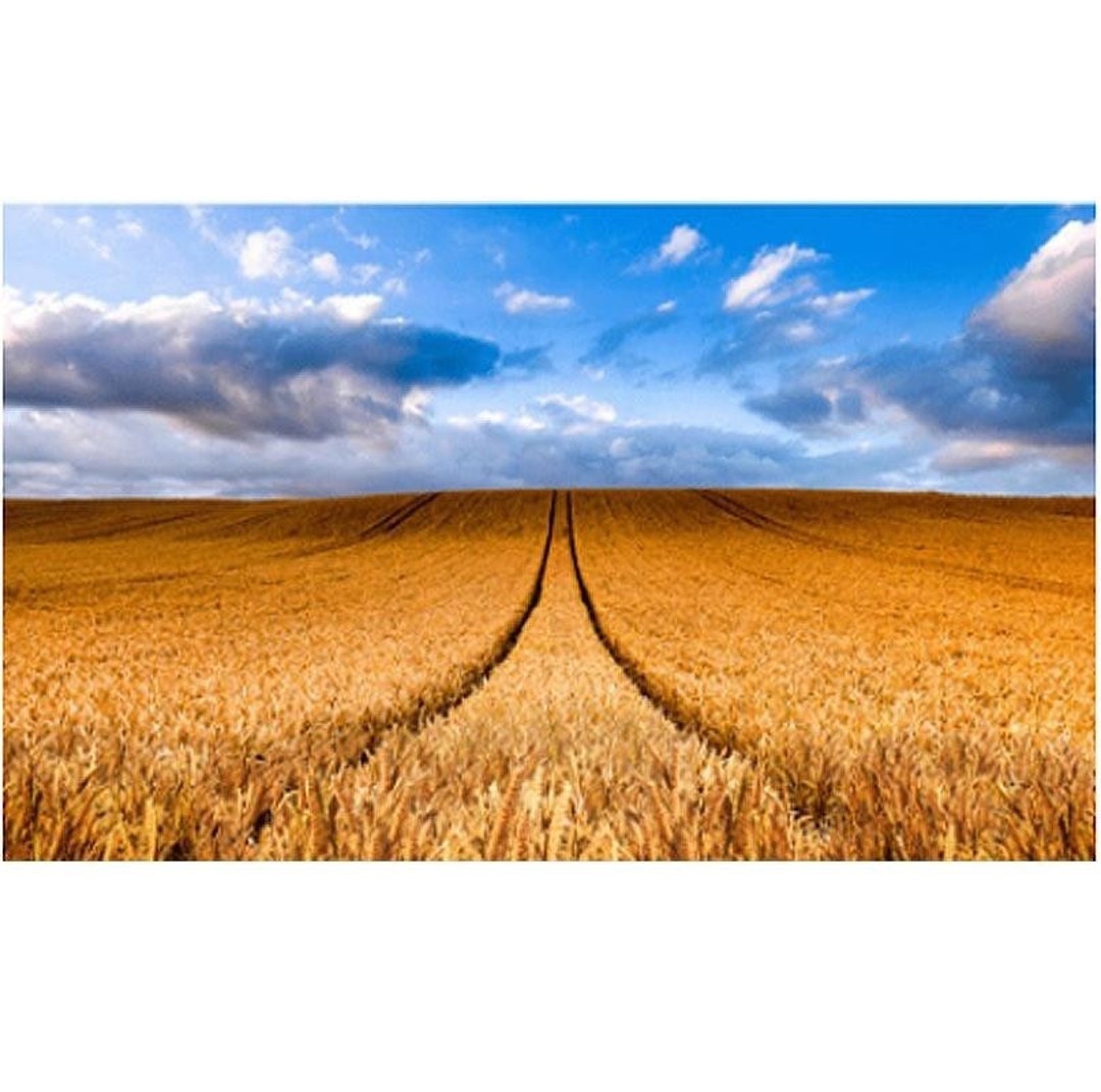 Sun up and Sun Down by Hoffman. - Etsy