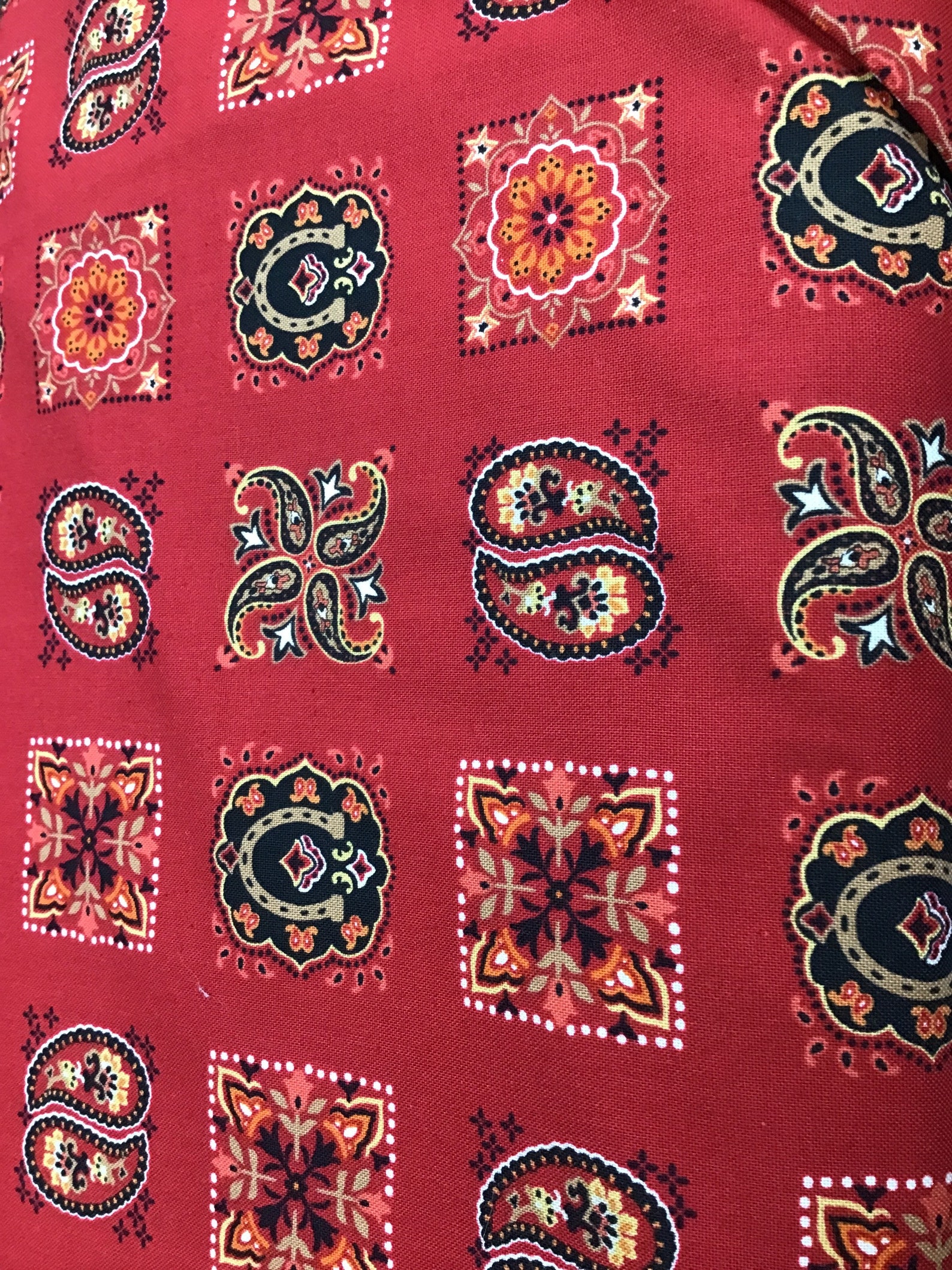 Wild Wild West by Studio E Fabric - Etsy