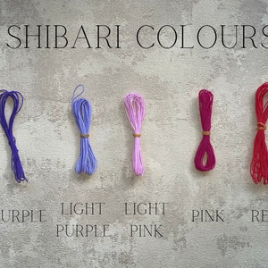 Extra Plus Size Shibari Body Sculpture | Curvy Statue | Female Bust ...