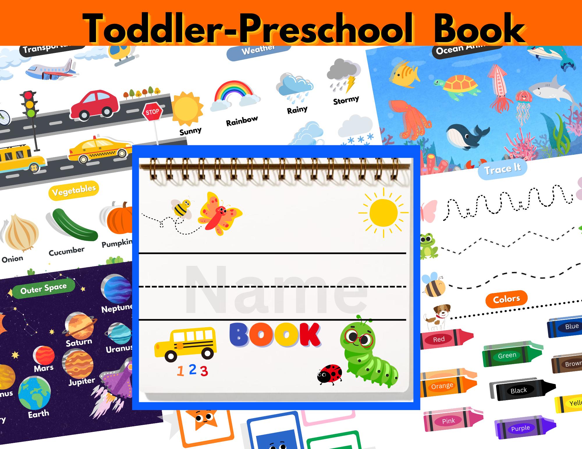 Printable Toddler/pre-k Learning Busy Book Activity, Writing, Reading ...