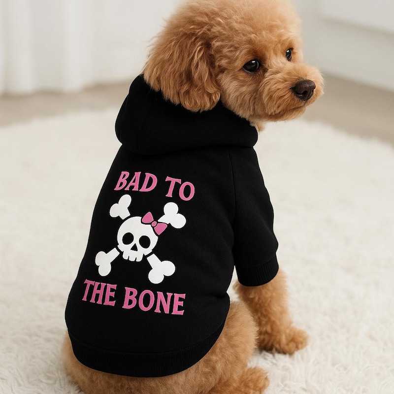 Bad Cat Halloween Costume - Etsy