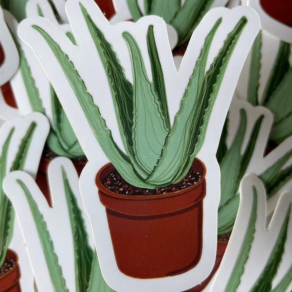 Aloe Plant - Etsy