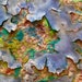 Rust Flower Photo - Etsy