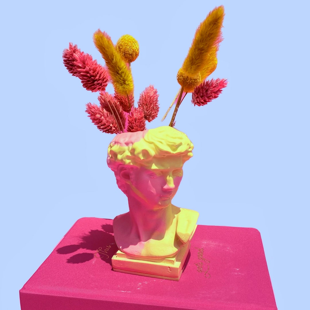 David Statue Vase - Abstract Pot - Dopamine Decor, Maximalist Decor ...