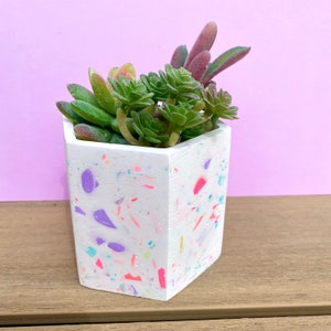 Pastel Terrazzo Planter Jesmonite Plant Pot Makeup Brush Holder the ...