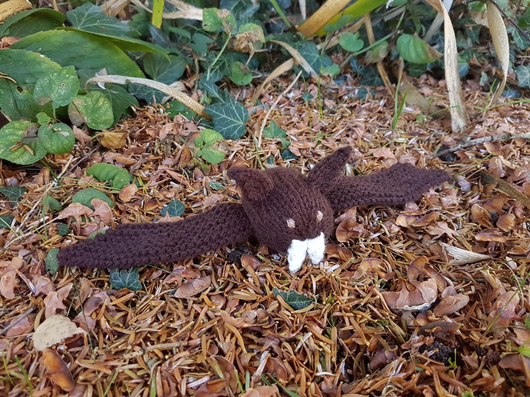 Knitted Bat - PDF Bat Knitting Pattern - Etsy