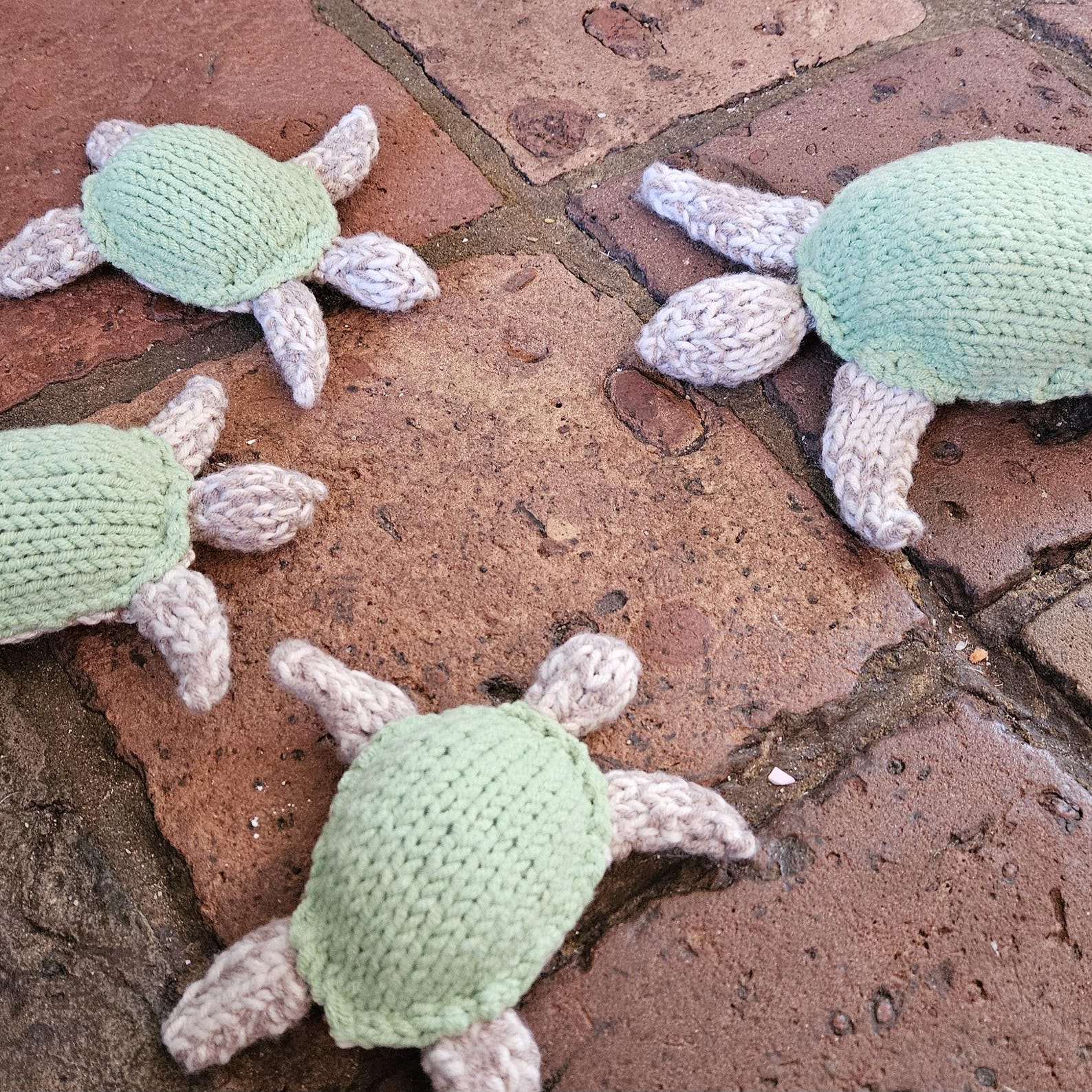 Knitted Turtles- PDF Turtle Knitting Pattern - Etsy